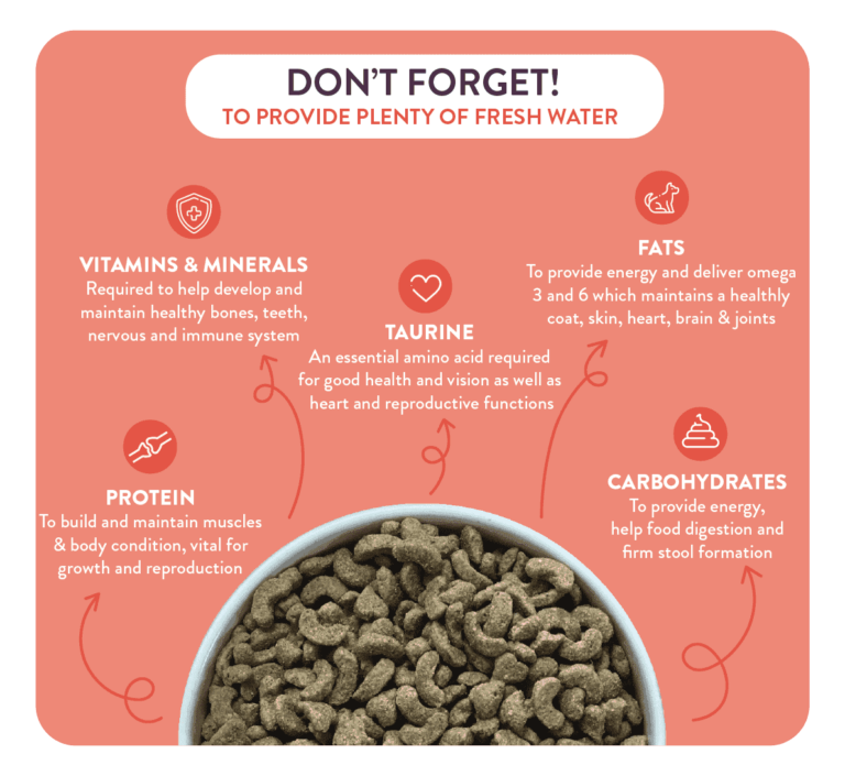 A Guide to Cat Diet & Nutrition | Cat Diets | Burgess Pet Car