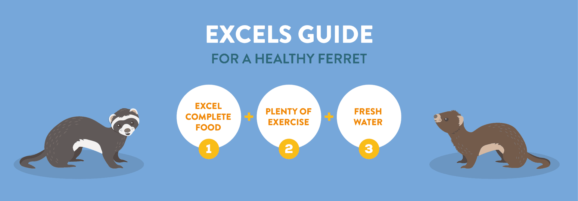 Excel Ferret Nuggets | Burgess Pet Care