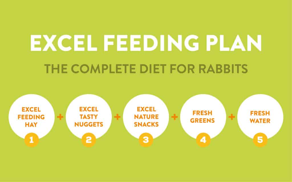 Rabbit Nuggets | Junior, Mature & Indoor | Burgess Pet Care