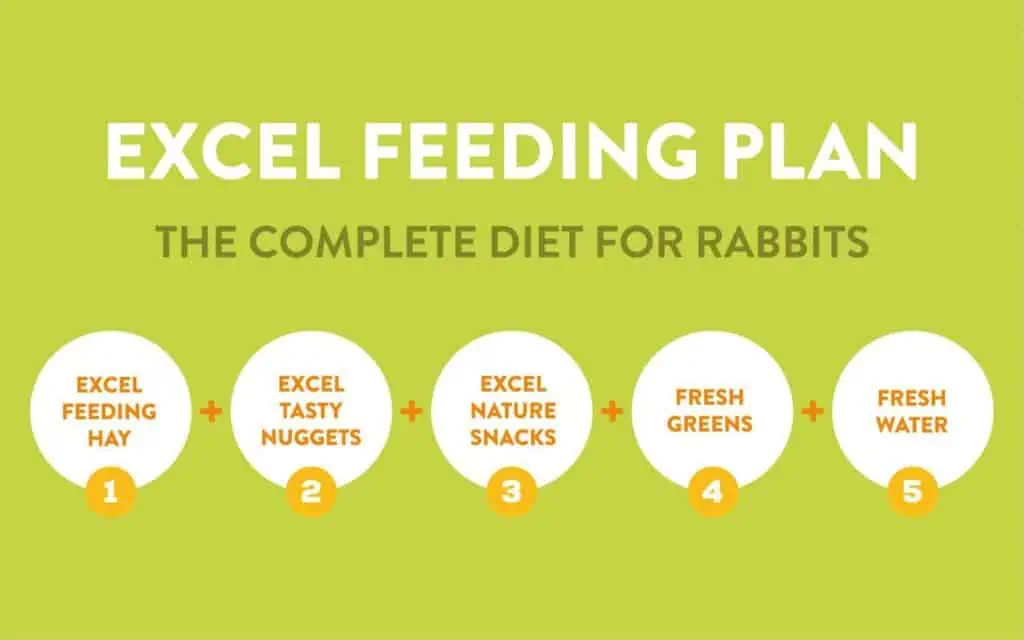 Rabbit Food | Premium Feeding Hay, Pellets & Treats for Rabbits - Excel ...