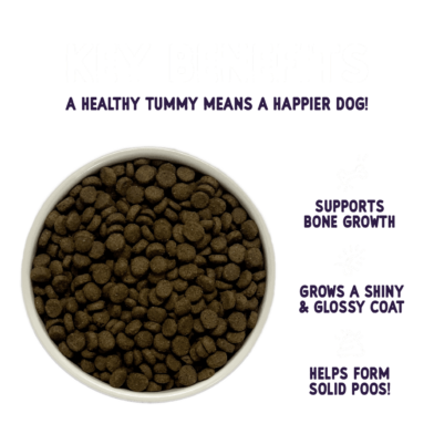 Burgess Sensitive Puppy food | Dry Dog Food | Burgess Pet Care