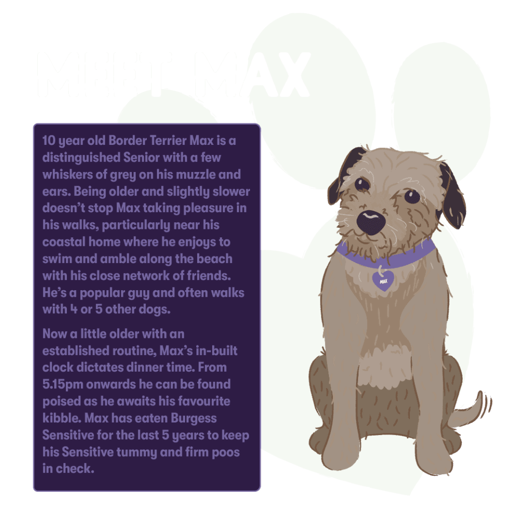 Burgess Sensitive Senior | Dry dog food | Burgess Pet Care