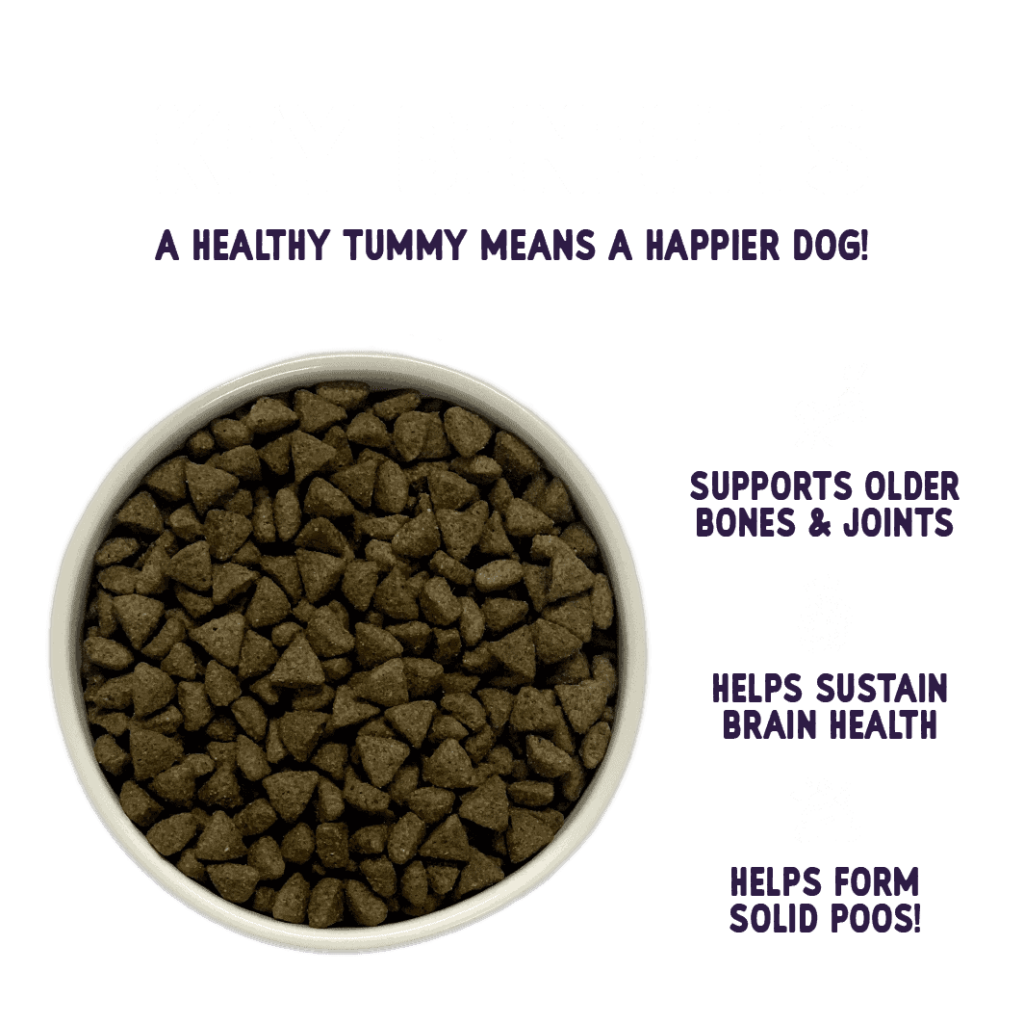 Burgess Sensitive Senior | Dry dog food | Burgess Pet Care