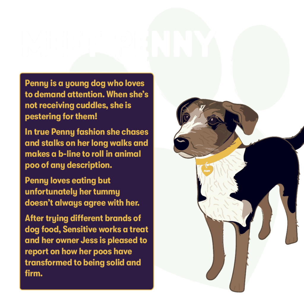 Burgess Sensitive Adult Turkey | Dry Dog Food | Burgess Pet Care