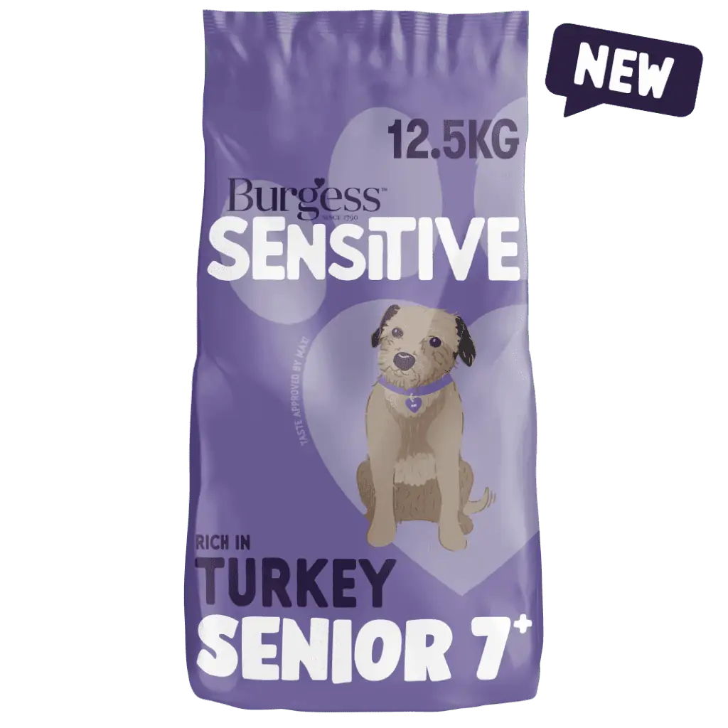 Sensitive Senior dry dog food | Burgess Pet Care