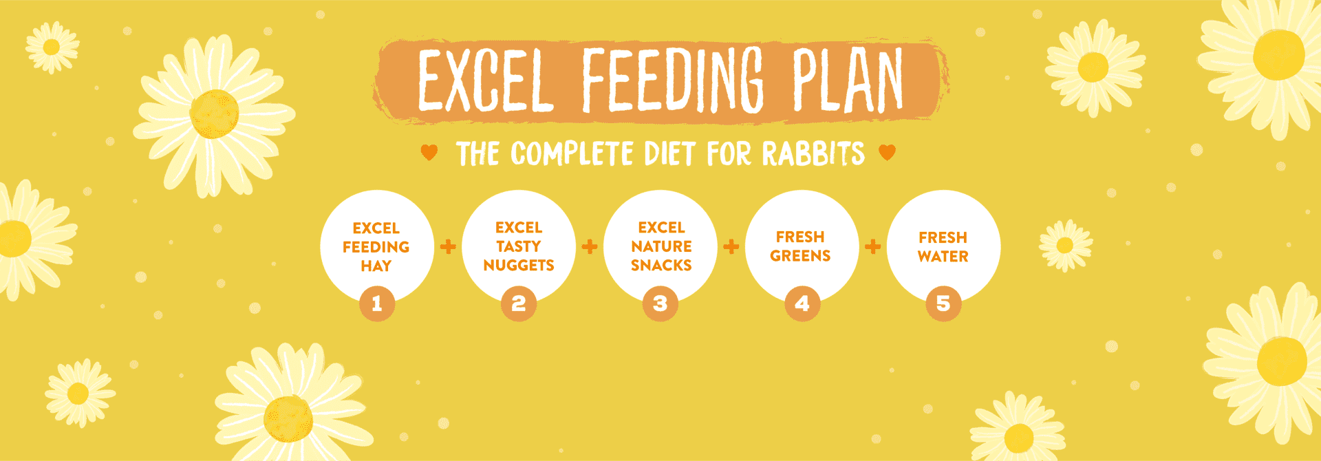 Excel Nature's Blend | Burgess Pet Care
