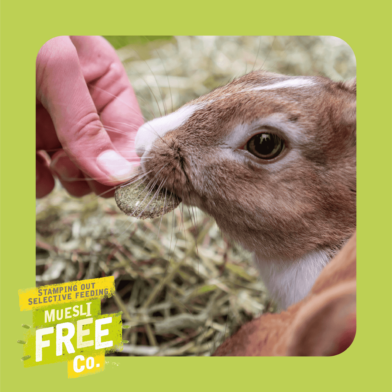 Excel Meadow Munchies | Hay treats for rabbits and guinea pigs ...