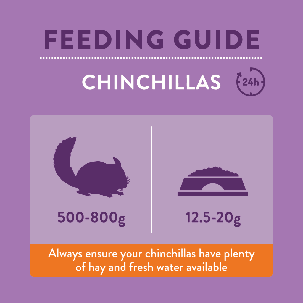 Excel Chinchilla Nuggets | Burgess Pet Care