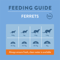 Excel Ferret Nuggets | Burgess Pet Care