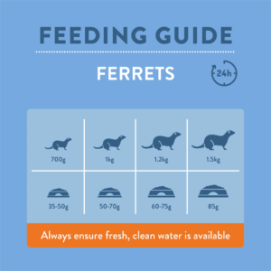 Excel Ferret Nuggets | Burgess Pet Care