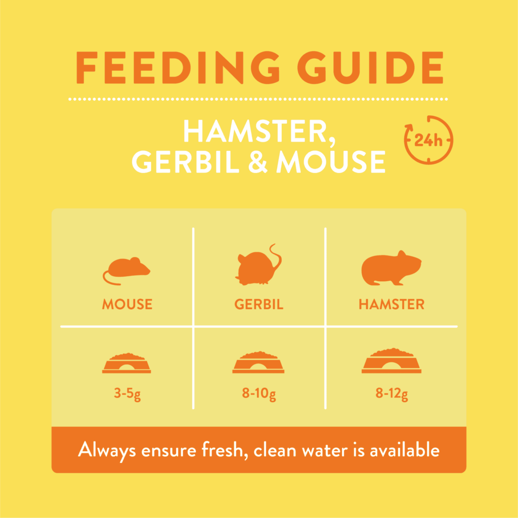 Hamster, Gerbil & Mouse | Burgess Pet Care