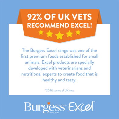 Excel Ferret Nuggets | Burgess Pet Care