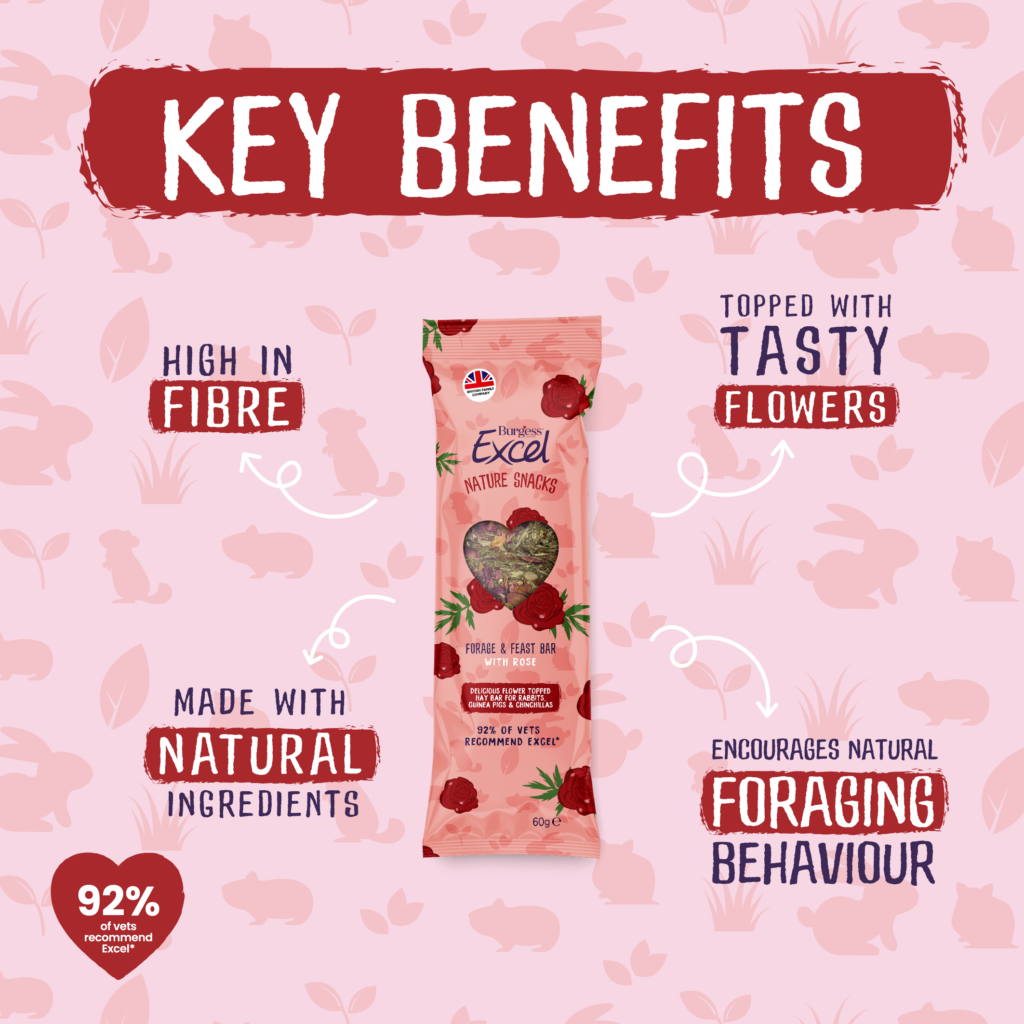 Rose topped hay treats for rabbits and guinea pigs | Burgess Pet Care