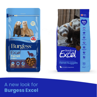 Burgess Excel Ferret Nuggets | Burgess Pet Care