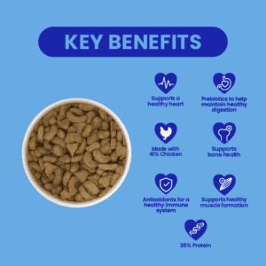 Burgess Excel Ferret Nuggets | Burgess Pet Care