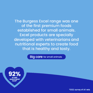Burgess Excel Ferret Nuggets | Burgess Pet Care