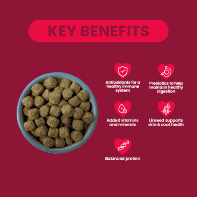 Excel Rat Nuggets | Burgess Pet Care