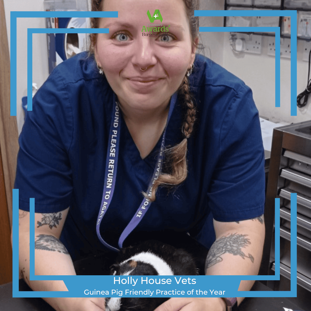 Burgess Excel Vet Awards | Burgess Pet Care