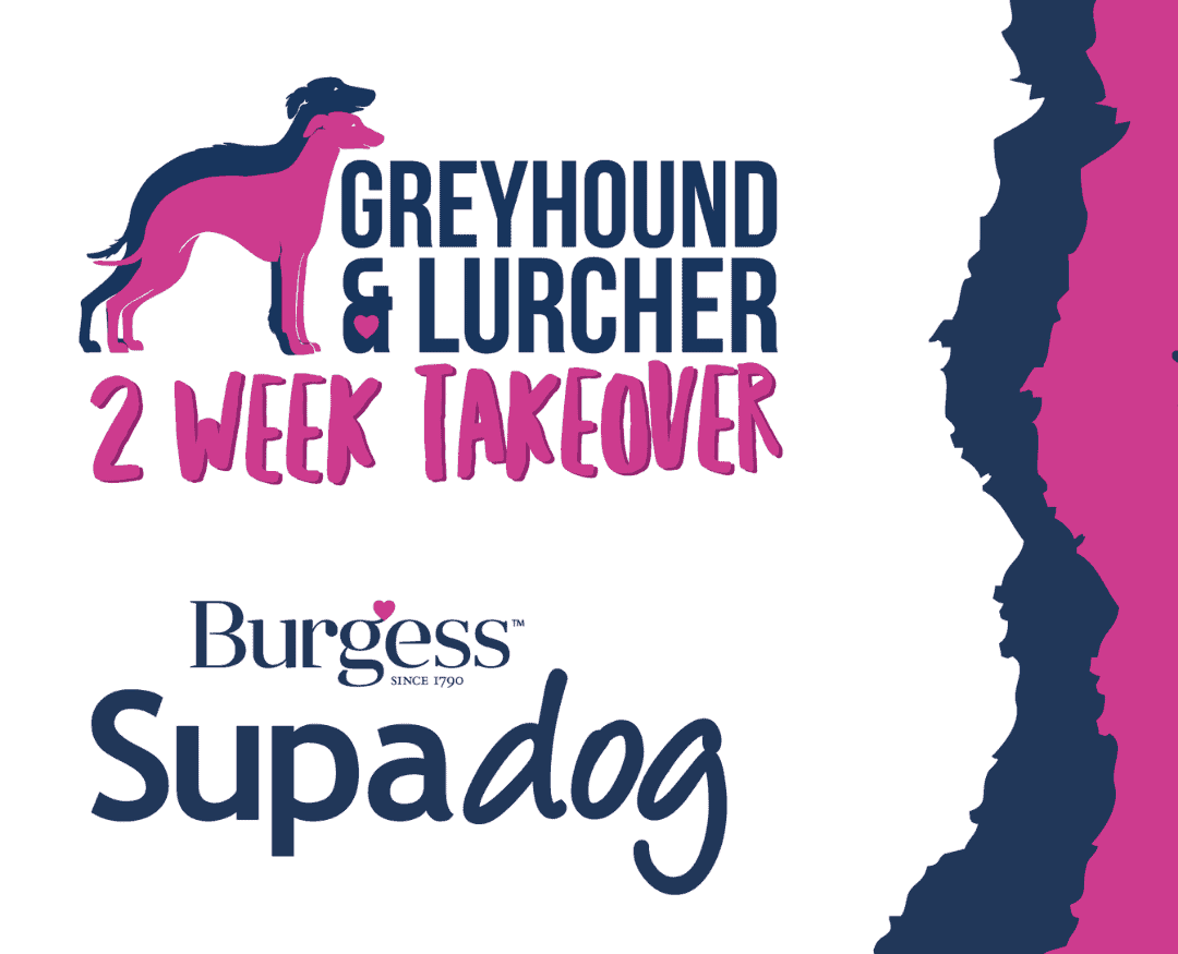 Greyhound and Lurcher Rescue nominations | Burgess Pet Care