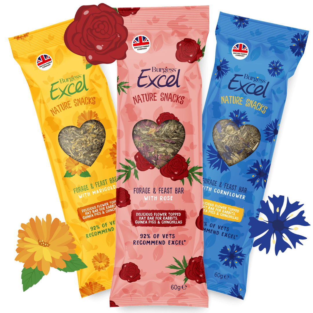 Buy Pet Food Online | Burgess Pet Care