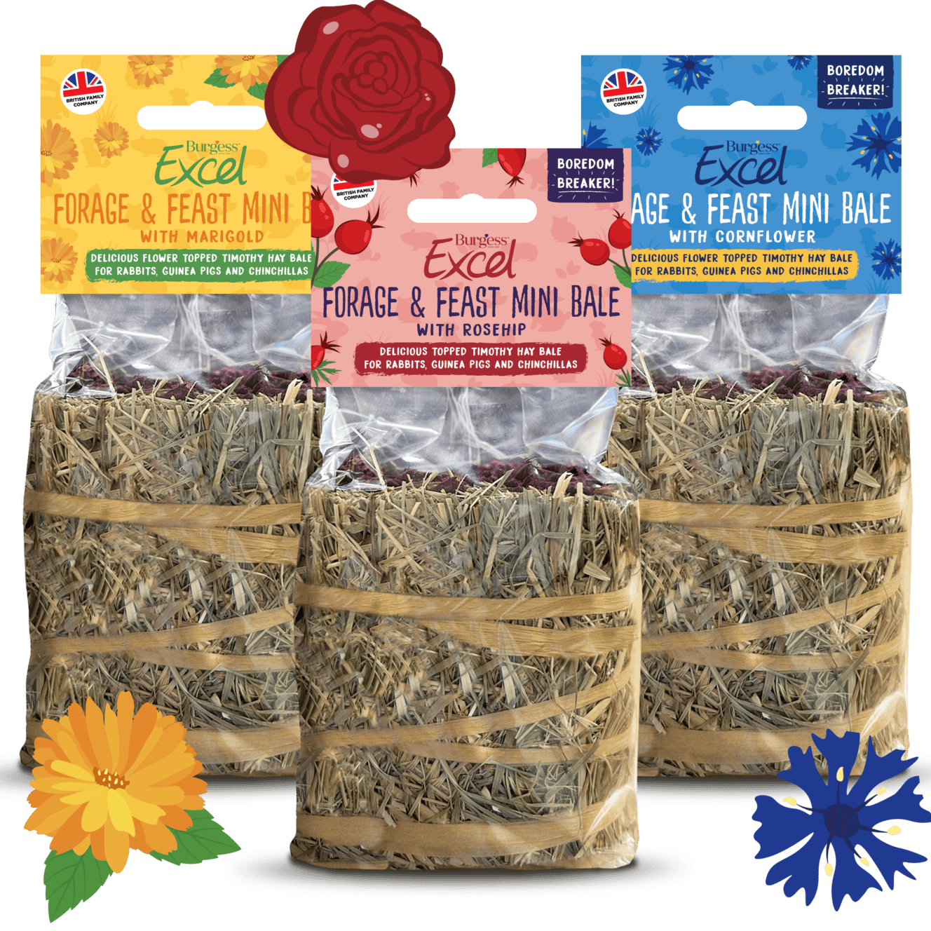 Buy Pet Food Online | Burgess Pet Care