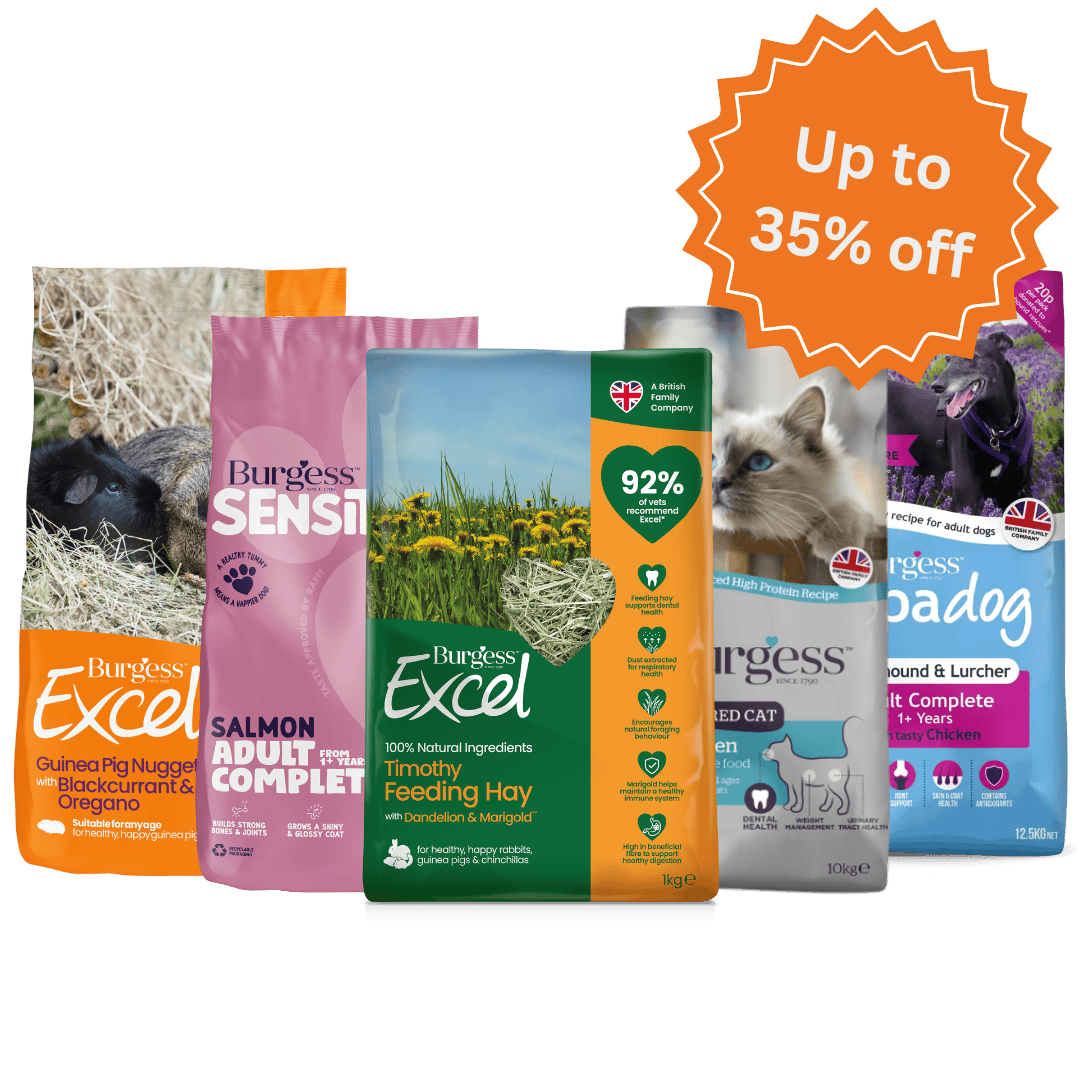 Buy Pet Food Online | Burgess Pet Care